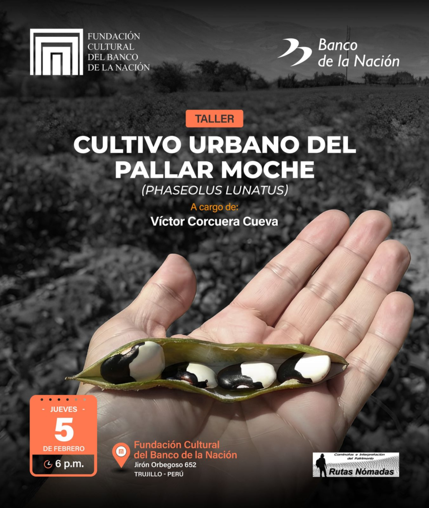 ¿Cómo cultivar un legado de 7 000 años?: taller gratuito enseñará a ...